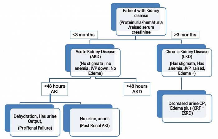 Acute Kidney disease and acute kidney injury.