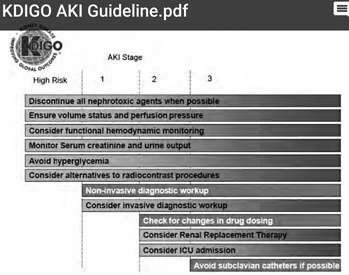 Kdigo Aki Calculator _ RIFLE Criteria for Acute Kidney Injury – VHKTX