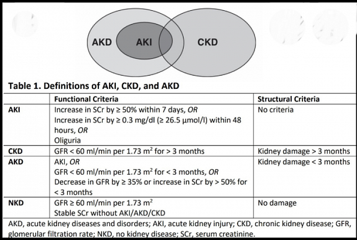 Acute Kidney disease and acute kidney injury.